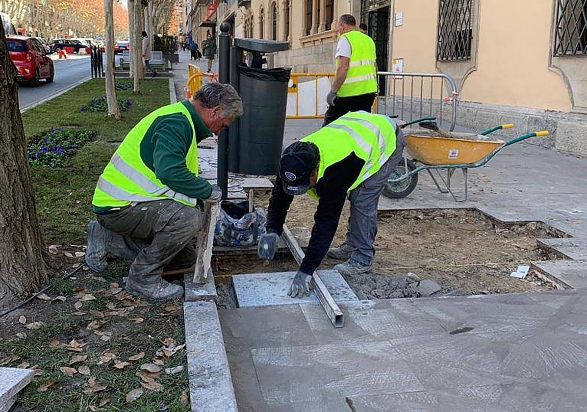 Seis empresas optan al contrato de servicio de conservación y mantenimiento viario | Ideal